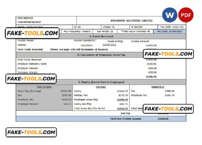 USA Target retail company pay stub Word and PDF template | fake tools